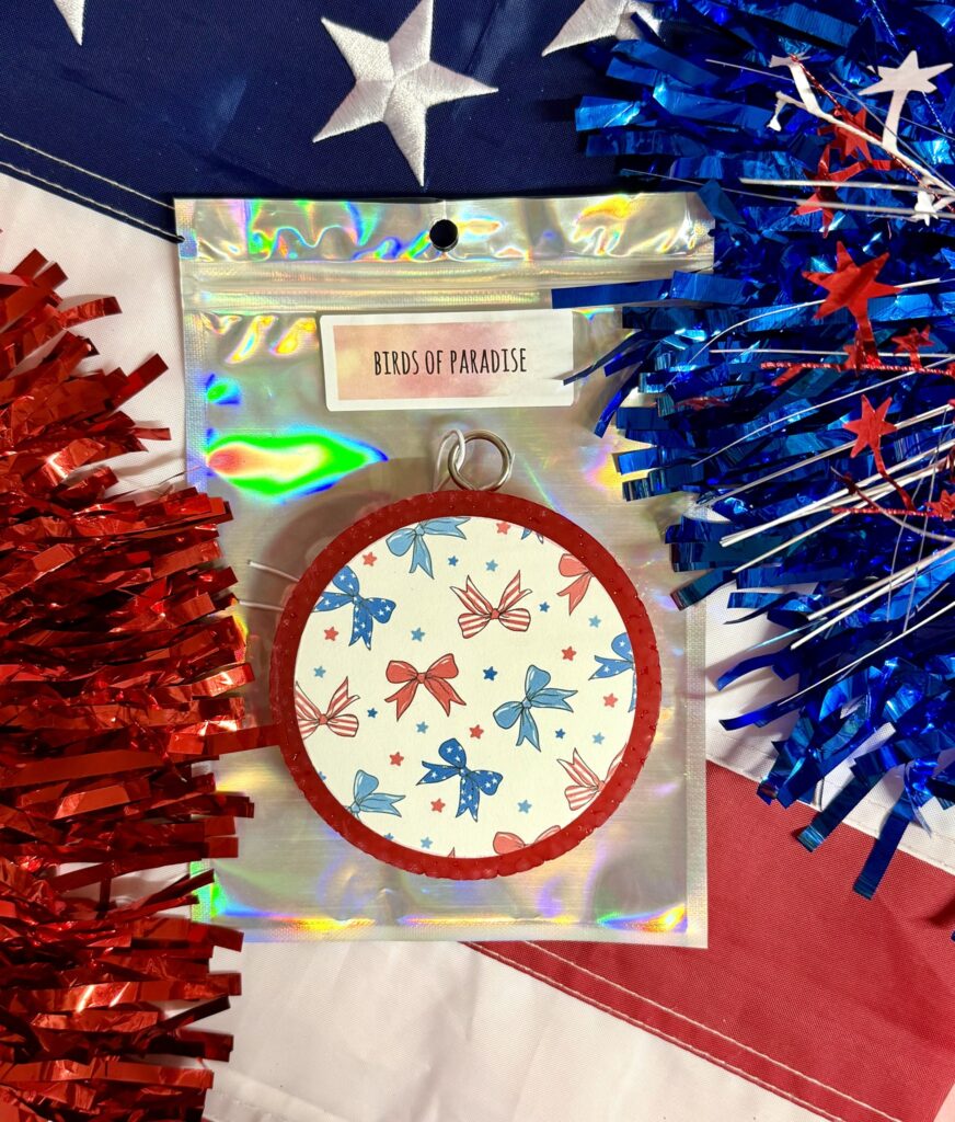 Patriotic Bow Freshie